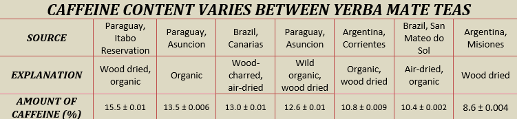 Yerba Mate vs. Coffee: Which Offers Greater Health Benefits?